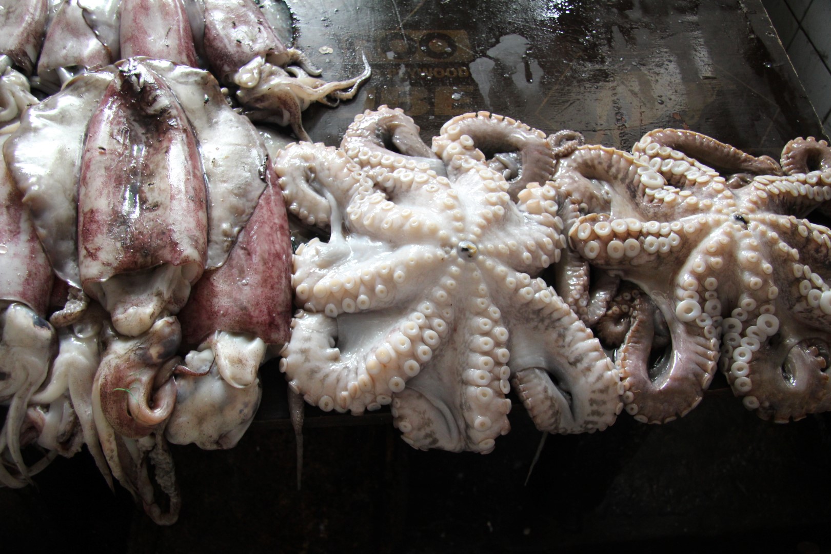 Why Zanzibar is a Must-Do After Kilimanjaro or Safari | Adventures ...