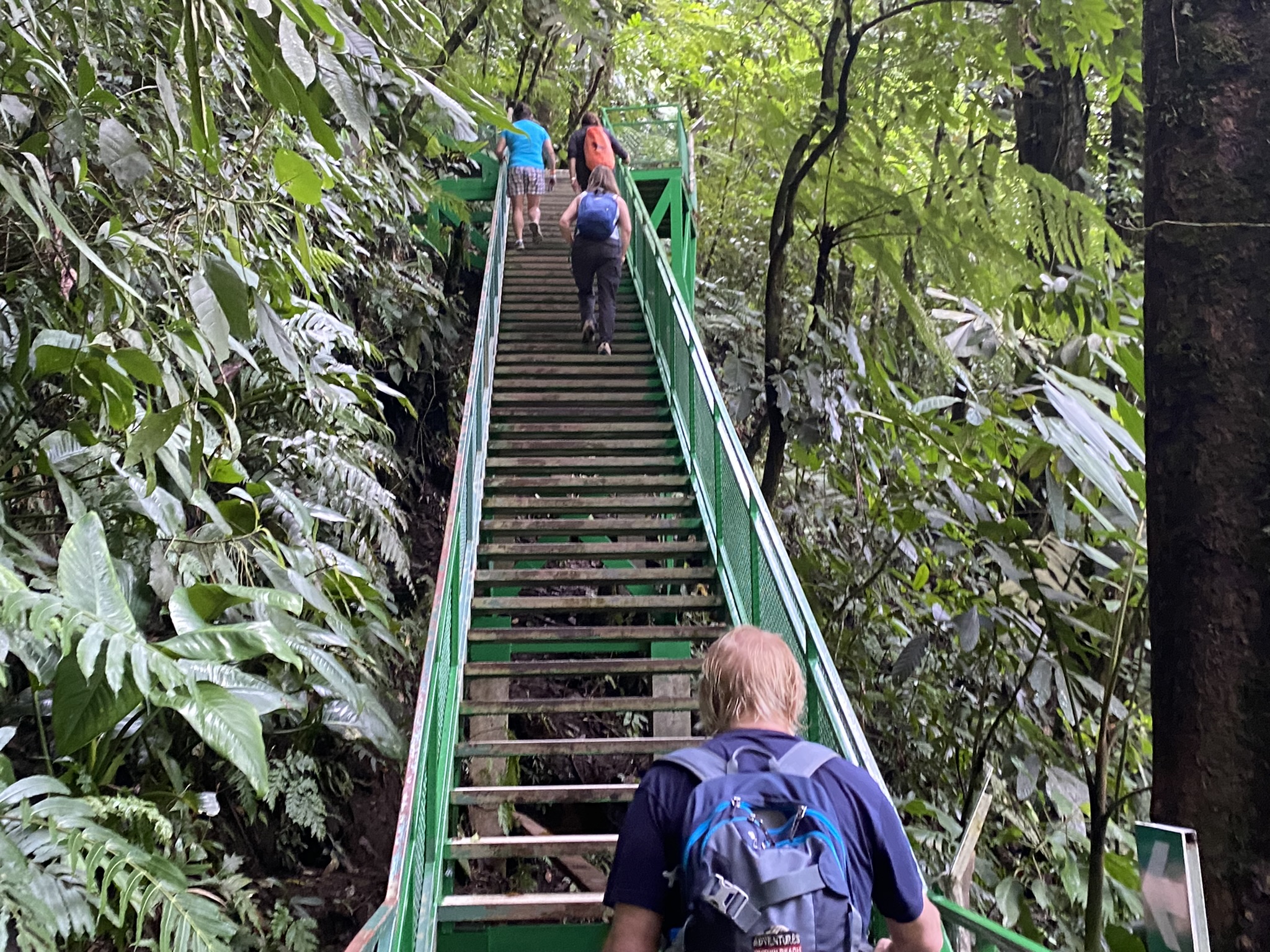 Costa Rica: Arenal and Monteverde Activities | Adventures Within Reach ...