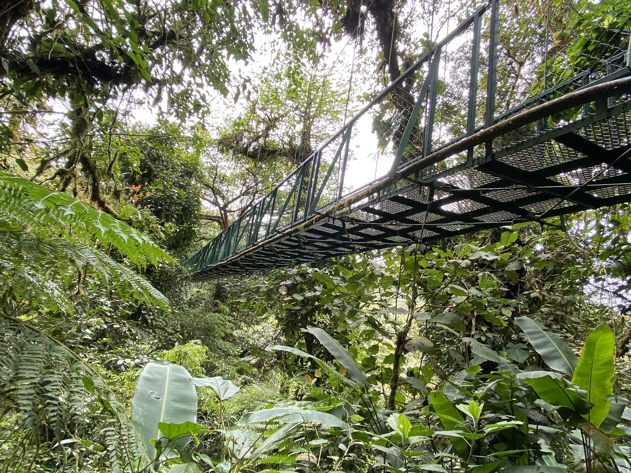 Costa Rica: Arenal and Monteverde Activities | Adventures Within Reach ...
