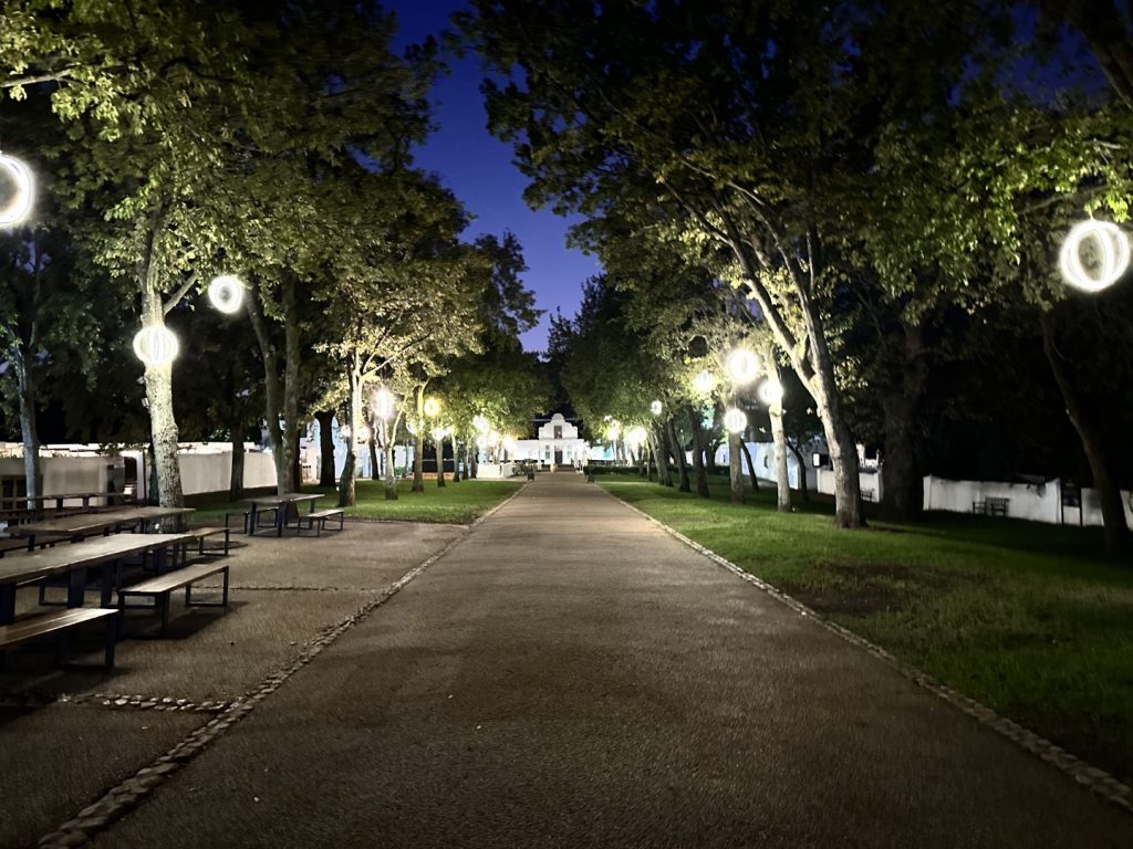 Cape Town: Wineries for Families | Adventures Within Reach Travel Blog